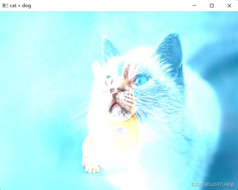 Opencv 计算多张图片均值图 Opencv图像处理算法mob6454cc719119的技术博客51cto博客