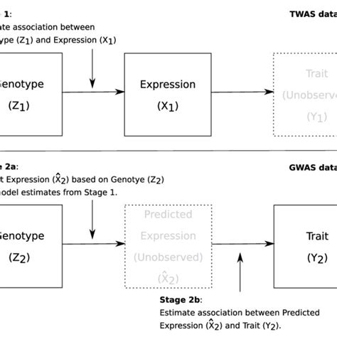 Two Stage Least Squares Approach Two Stage Least Squares 2sls Is One Download Scientific
