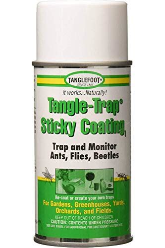 I Tested Tanglefoot Tree Insect Barrier And Here S Why It S A Must Have