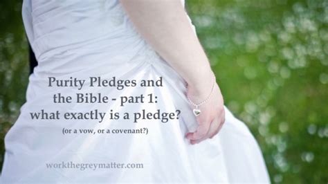 What Exactly Is A Pledge Exploring The Types Of Commitment Seen In The