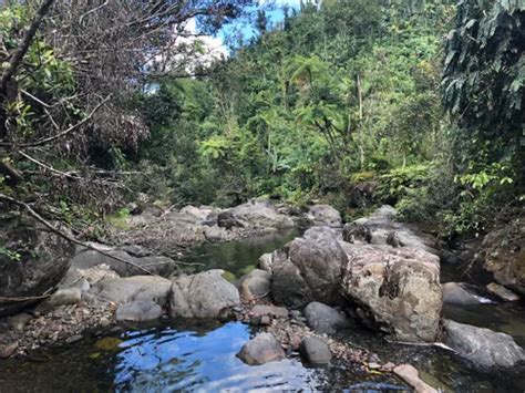 10 Best Hikes And Trails In El Yunque National Forest Alltrails