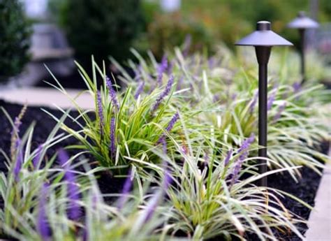 Living Colour Landscaping Design Installation Living Colour Landscaping