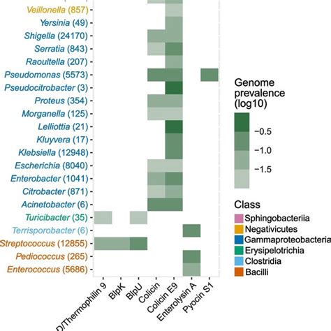 Bacteriocin Gene Distribution In Gut Bacterial Genomes The Figure Download Scientific Diagram