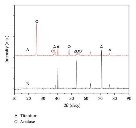 Fe Sem Top View A And Cross Section B Of Tnas Electrode And C Xrd