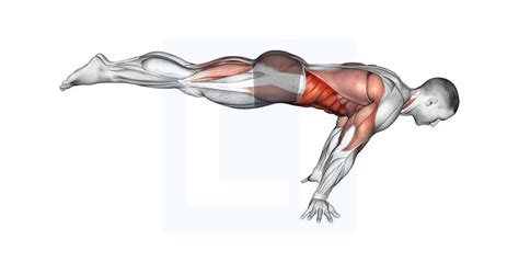 Full Planche Push Up Guide Benefits And Form
