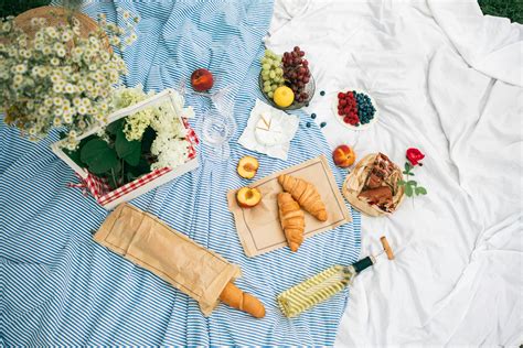건강한 식생활 과일 낮 녹지 담요 라이프스타일 레몬 레저 밀짚 모자 베리류 복숭아 블루베리 빵 사과