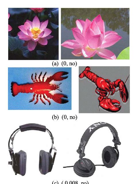 Hessian Affine Region Detector Semantic Scholar