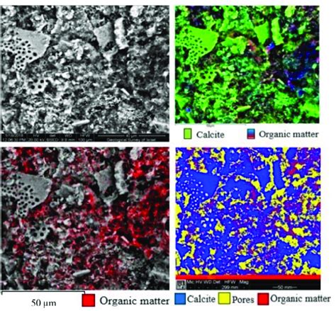 Sem Upper Left And Sem Eds Images Showing Calcite Organic Matter