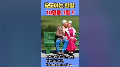 부모의 사랑효도하는 방법10명중1명명심보감 명언부모님 은혜shorts Video Youtube