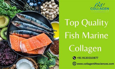 Top Quality Fish Marine Collagen Manufacturers In India By