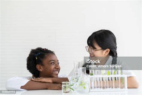 아시아 소녀와 아프리카 계 미국인 소녀 과학자 학습 하 고 실험실에서 유리 제품으로 세균에 대 한 분석을 하 고 교육적인