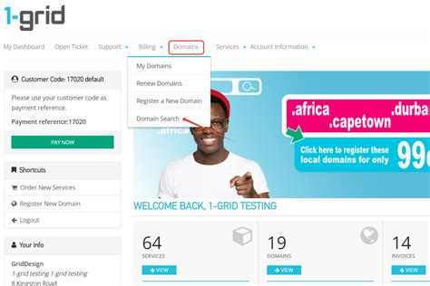 How To Bring Your Coza Domain Over To 1 Grid Via Customer Zone 1