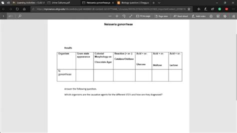 Solved 3 Id] Learning Activities Clsc 2 Urinecultures Pdf