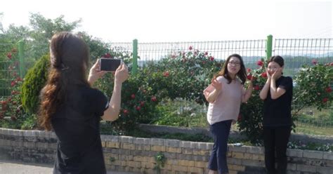 안성휴게소 부산 방향 장미꽃 향기 그윽