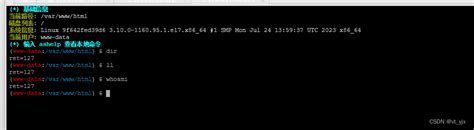 绕过文件上传disabledfunction案例蚁剑的disablefunction插件如何使用 Csdn博客