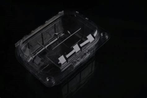 200 Ml Plastic Berry Container At ₹ 5piece Plastic Food Containers