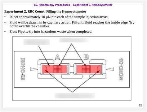 Rbc Count Diagram Quizlet