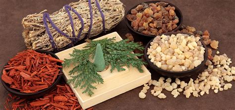 Quelles Sont Les Propriétés De Lencens De Musc Wemystic France