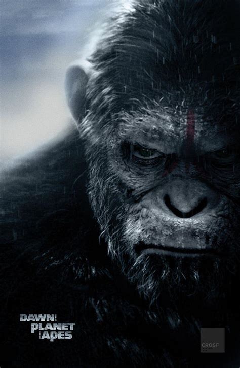 Caesar Planet Of The Apes Wallpapers Wallpaper Cave