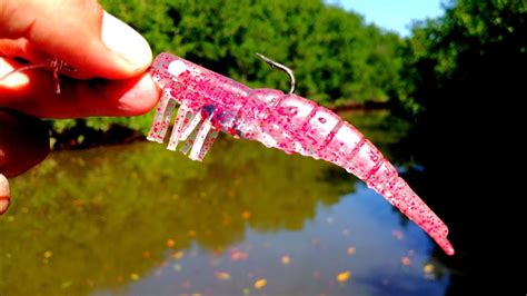 Pesca con CAMARÓN ARTIFICIAL en los MANGLARES Pargos y robalos YouTube