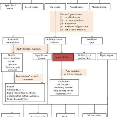 Scheme Of Conversion Of Lignocellulosic Wastes To Nanocellulosic