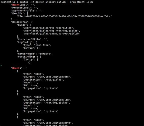 Docker中安装gitlab，并完成gitlab容器迁移包括相关数据备份docker Gitlab 备份 Csdn博客