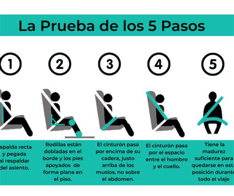 ¿cuántos Puntos Quitan Por No Llevar Cinturón Legitima Defensa