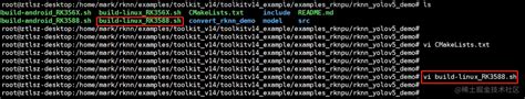 瑞芯微dr4 Rk3588基于docker技术的npu开发 掘金