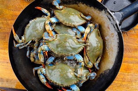 Come Cucinare Il Granchio Blu Storia Ricette E Tecnica Per Pulirlo