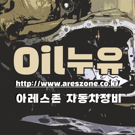 차량 떨림 핸들 떨림 출력이 떨어짐 소음이 커짐 올 뉴 카니발 주차장 바닥에 기름 떨어진 엔진오일 누유 팬 교체