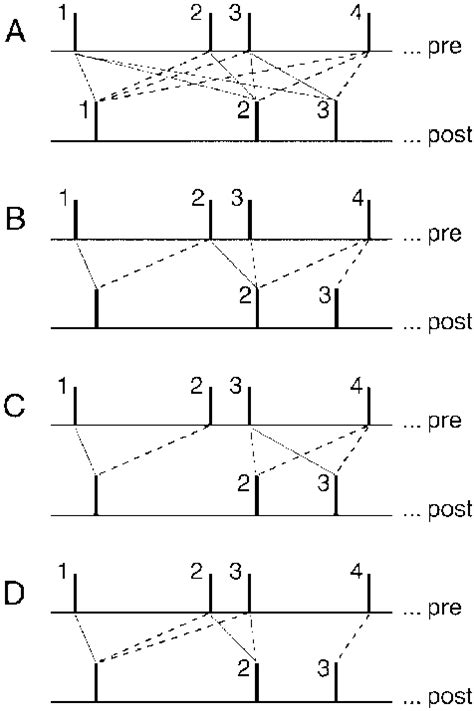 a d temporal integration of stdp schematics illustrate different ways