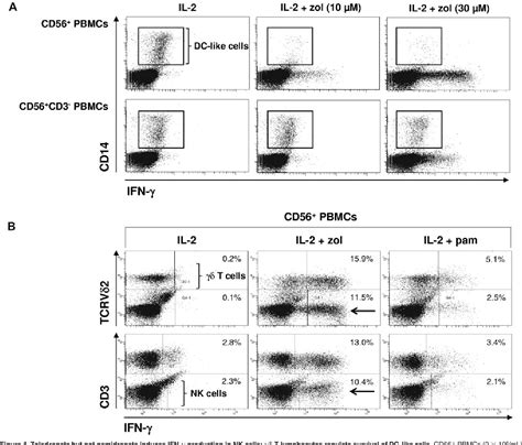 Figure 1 From Dc Like Cell Dependent Activation Of Human Natural Killer