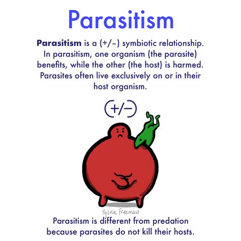 Parasitism Definition And Examples Expii