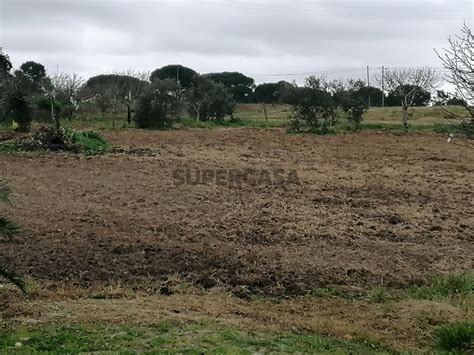 Quintas e casas rústicas Quinta T3 à venda em Melides SUPERCASA