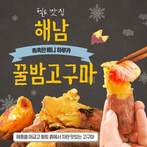 해남 땅끝 꿀 고구마 베니하루카 한입 고구마 10키로 세컨웨어