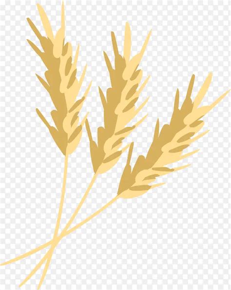Png Png