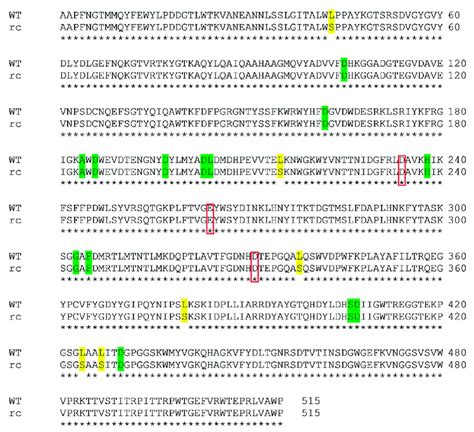 Pairwise Sequence Alignment Of Wild Type Wt And Recombinant Rc Sr74