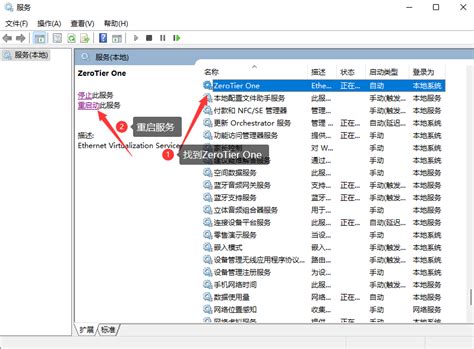 Zerotier Docker Zerotier Planet 自建planet Zerotier服务器 Docker Zerotier