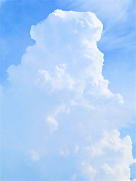 ダレタメ広報 On Twitter 本日もお疲れ様でした😊 帰り道、大きな入道雲が出ていました💦ここ数日、夕方から夜にかけてゲリラ🌧️だの