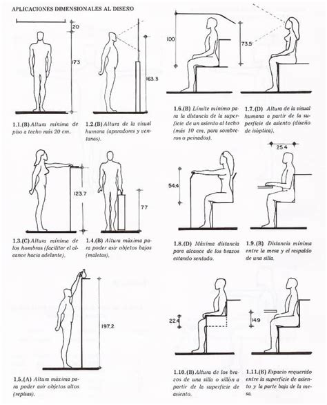 Antropometría Medidas Y Análisis Arquibase