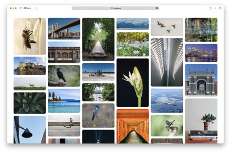 Help Us Invent CSS Grid Level 3 Aka Masonry Layout WebKit