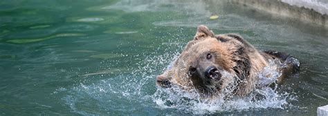 Öffnungszeiten Tierpark Bern