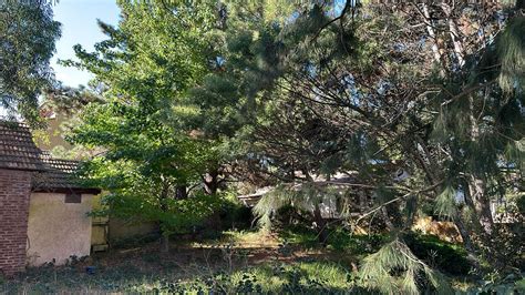 Geraldine Copes Propiedades