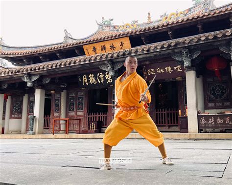 Wuzu Fist combines movements derived from five kung fu schools - CGTN