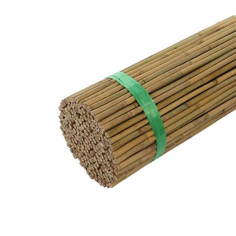 Mygarden Bamboo Stakes Natural Canes 5 Bulk Heavy 14 16mm 200pcs
