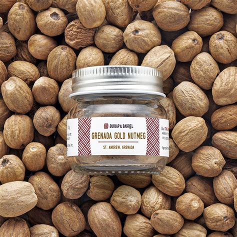 What Is Nutmeg and How Do I Cook With It Bon Appétit