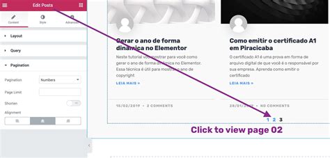 Bug Categories Archive Pagination Return Error Issue