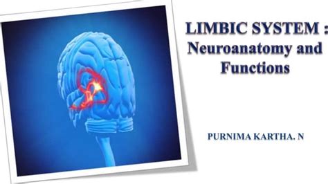 Limbic System Pptx