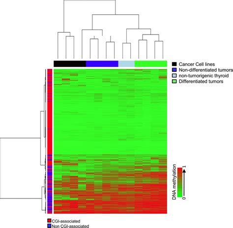 hierarchical clustering heatmap showing the dna methylation patterns of