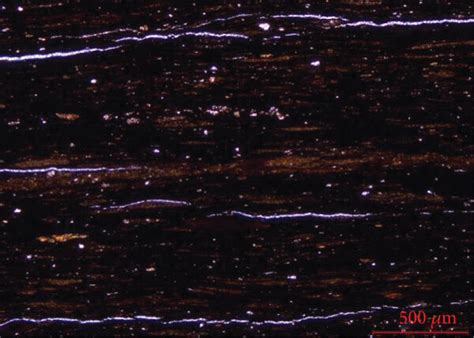 Microstructure Of Laminas And Beddings A Fracture Networks Formed By Download Scientific